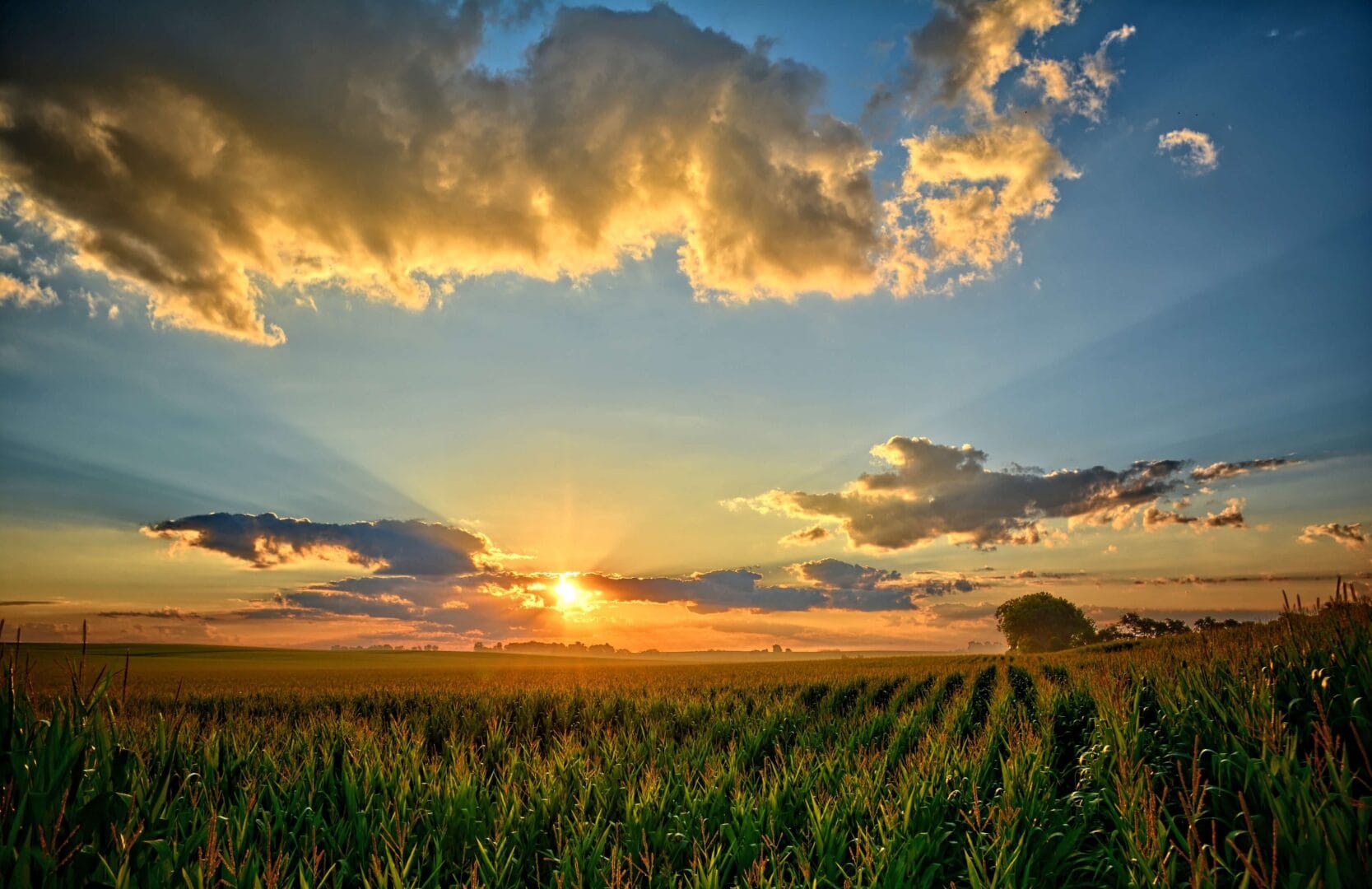 Farmland Inheritance Taxes Explained for Farm Families